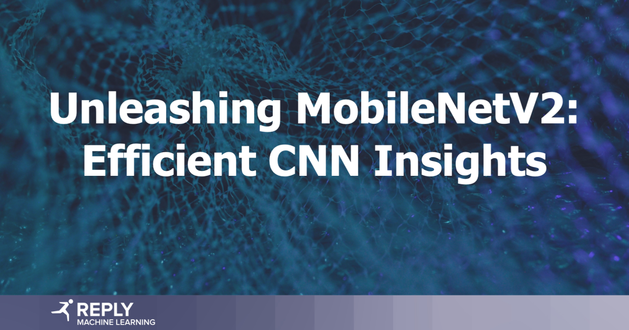 Unleashing MobileNetV2: Efficient CNN Insights Unleashing MobileNetV2: Efficient CNN Insights