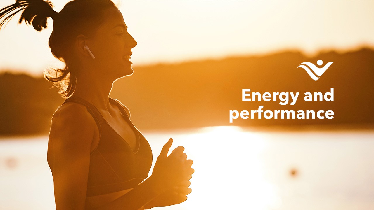 Boosting Energy and Performance: The Role of Vidaferr and Vitamin B Complex Boosting Energy and Performance: The Role of Vidaferr and Vitamin B Complex