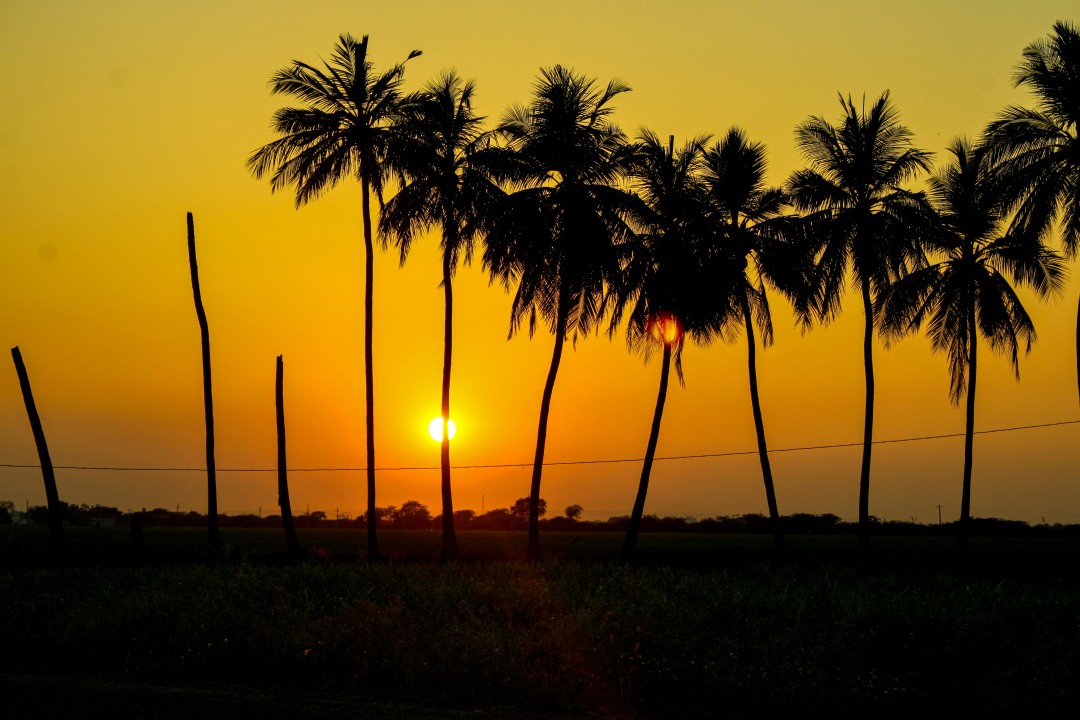 Exploring Andhra Pradesh: Top Places to Visit with Explurger - The New ... Exploring Andhra Pradesh: Top Places to Visit with Explurger - The New ...