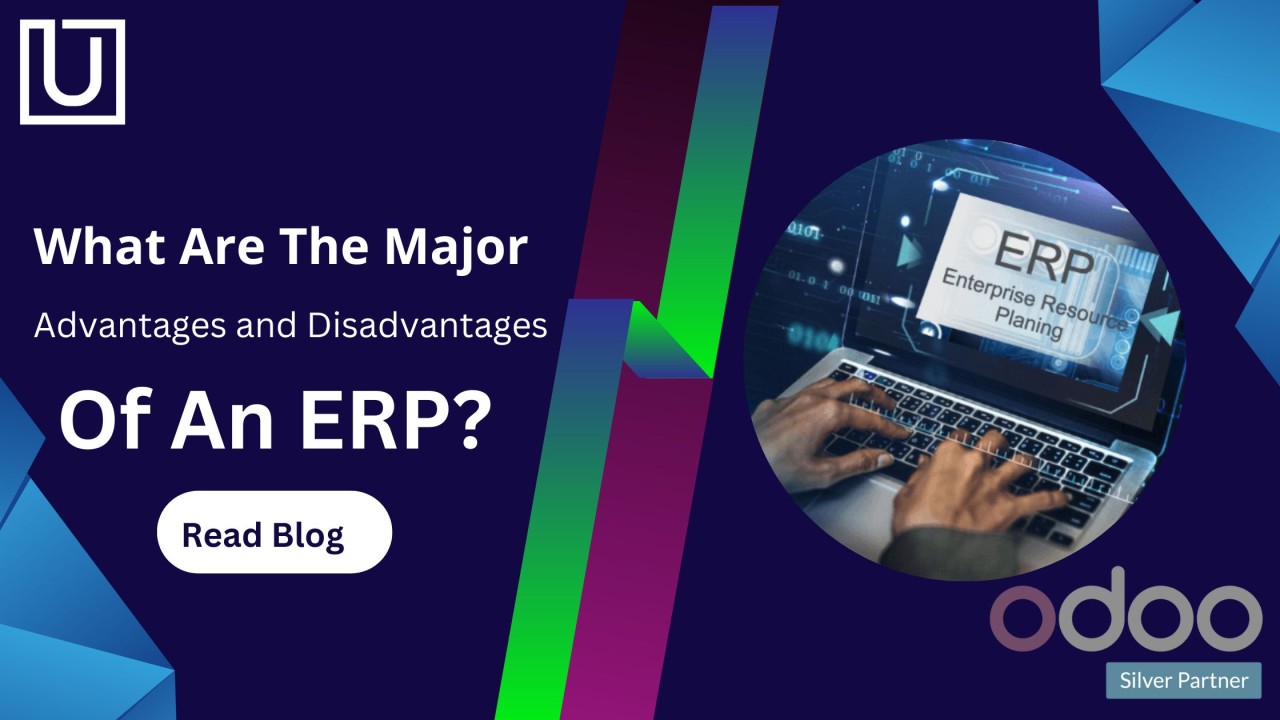 What are the major advantages and disadvantages of an ERP? What are the major advantages and disadvantages of an ERP?