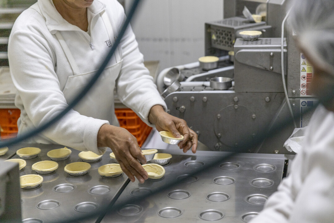 Maria Nata New - Lab Maria Nata New - Lab