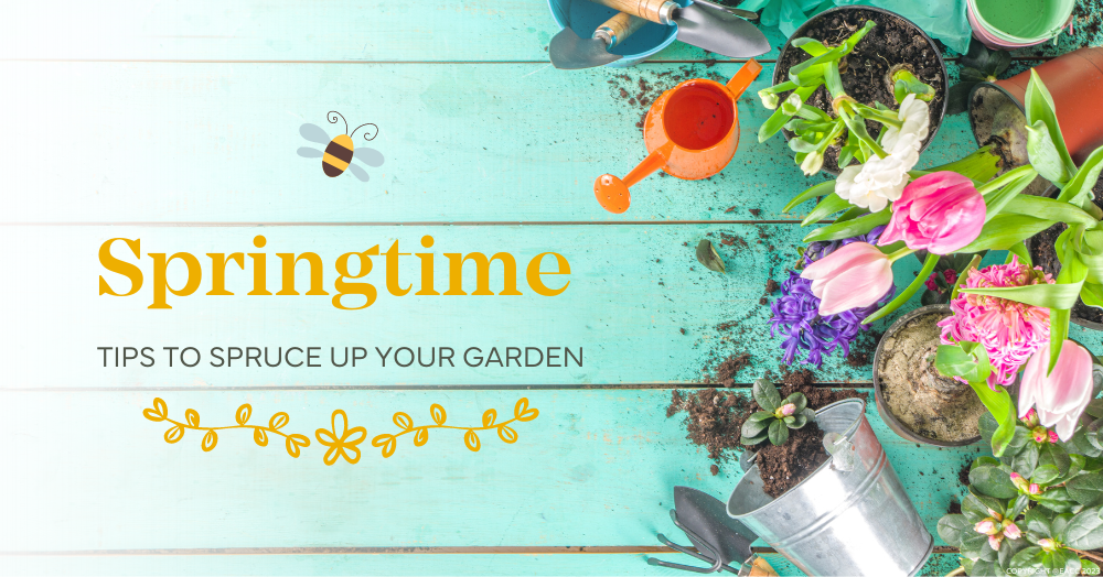 Springtime Tips to Spruce Up Your Garden Springtime Tips to Spruce Up Your Garden