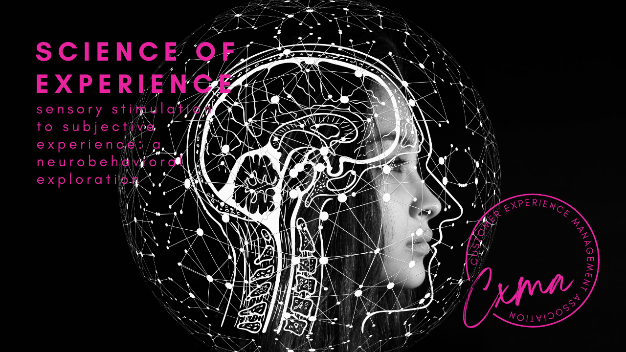 Sensory Stimulation to Subjective Experience: A Neurobehavioral Exploration Sensory Stimulation to Subjective Experience: A Neurobehavioral Exploration