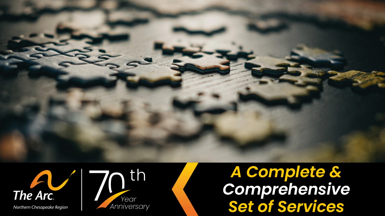 Comprehensive Set of Services for People with Differing Abilities Comprehensive Set of Services for People with Differing Abilities