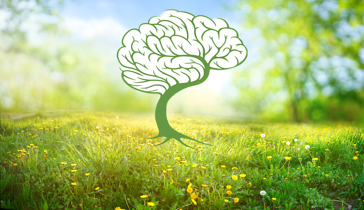 Existe-t-il un printemps pour le cerveau? Existe-t-il un printemps pour le cerveau?
