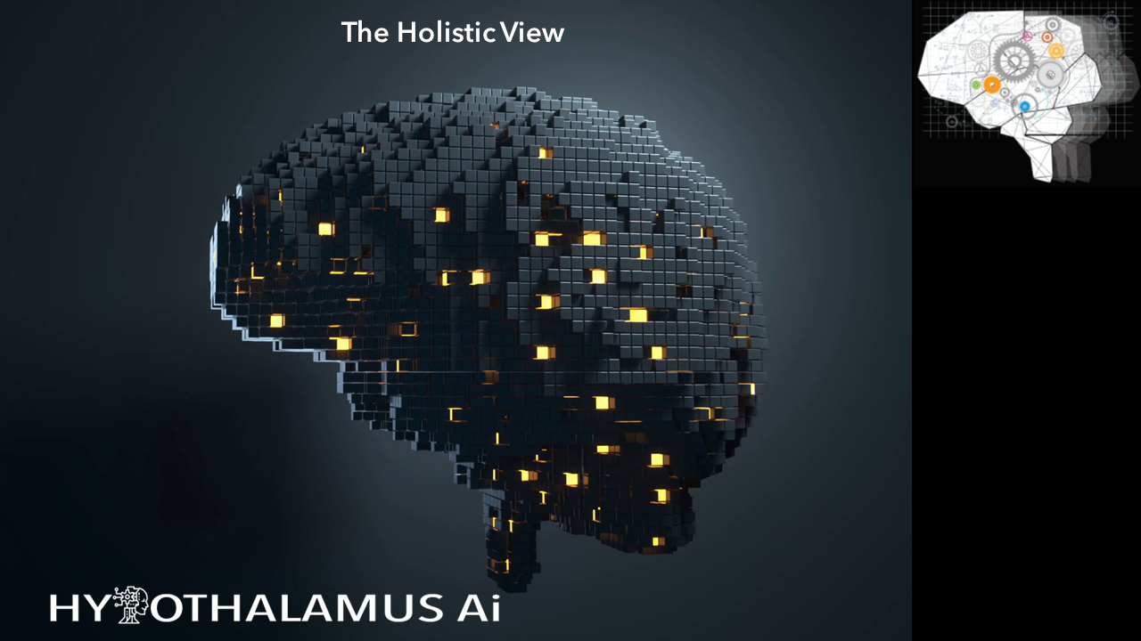 The Holistic View of HYPOTHALAMUS Artificial Intelligence. The Holistic View of HYPOTHALAMUS Artificial Intelligence.