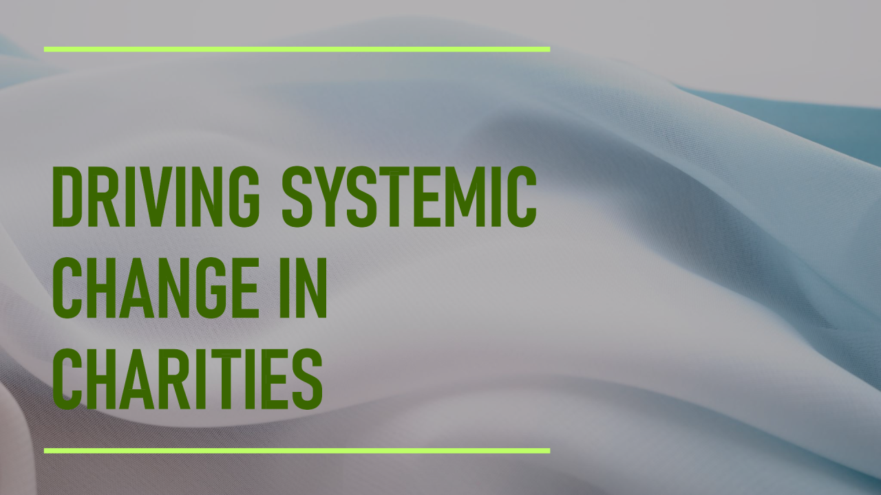 Lady Edwina Grosvenor: Driving systemic change in charities Lady Edwina Grosvenor: Driving systemic change in charities