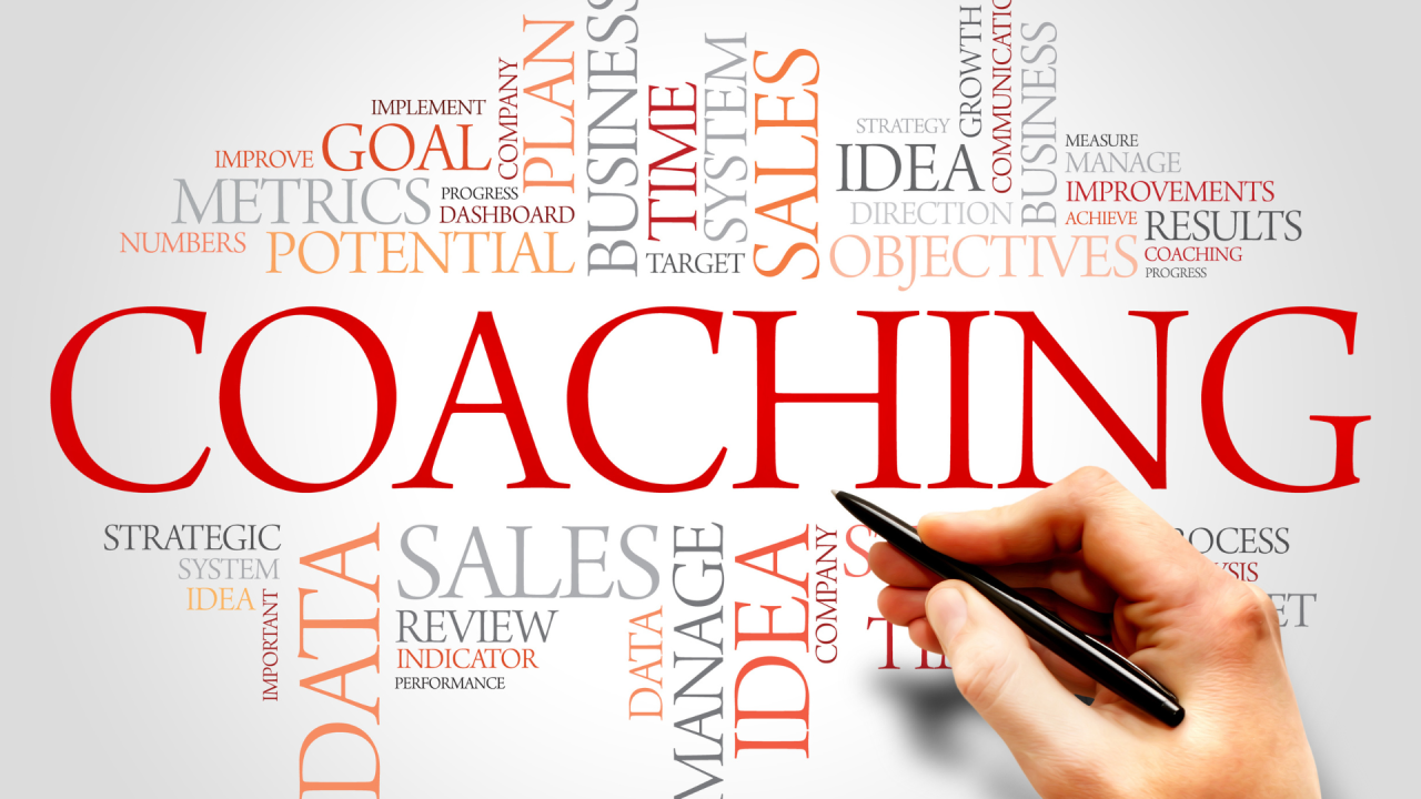 What Coaching Is What? What Coaching Is What?