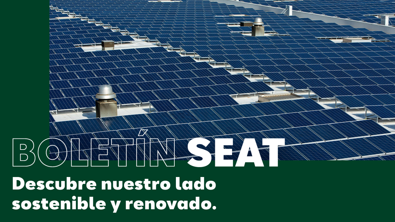 ¡Novedades que no te puedes perder! ¡Novedades que no te puedes perder!