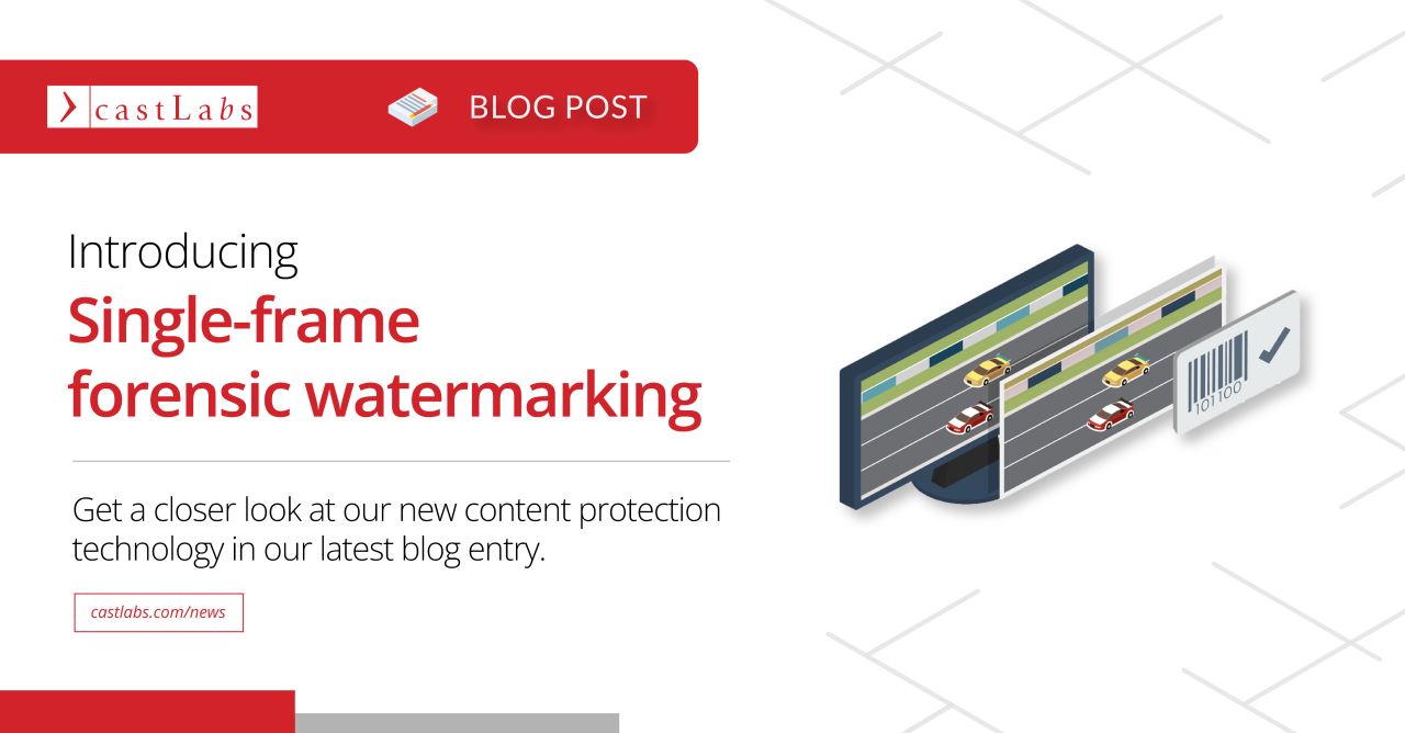 Introducing single-frame forensic watermarking Introducing single-frame forensic watermarking