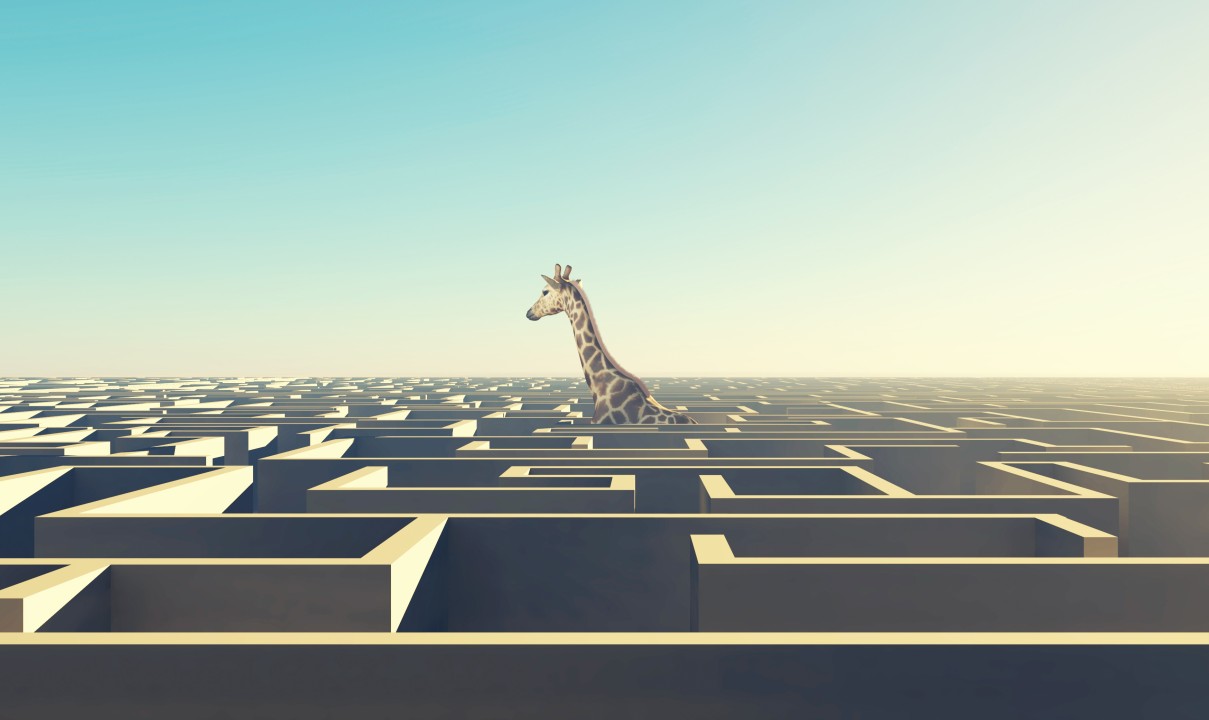 Rethinking Your Risk Management Program in a Non-financial Firm Rethinking Your Risk Management Program in a Non-financial Firm
