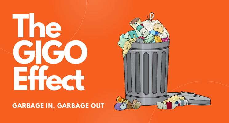 The GIGO (Garbage In, Garbage Out) effect The GIGO (Garbage In, Garbage Out) effect