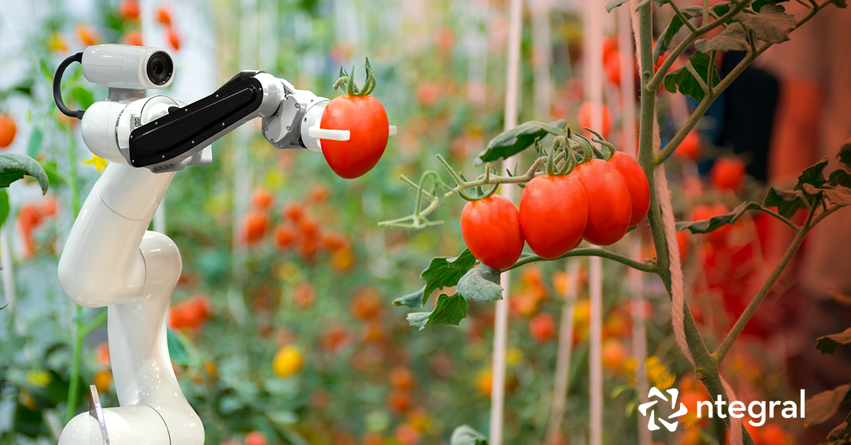 Ntegral | Leveraging Big Data, AI, ML, and IoT in the Food Industry Ntegral | Leveraging Big Data, AI, ML, and IoT in the Food Industry