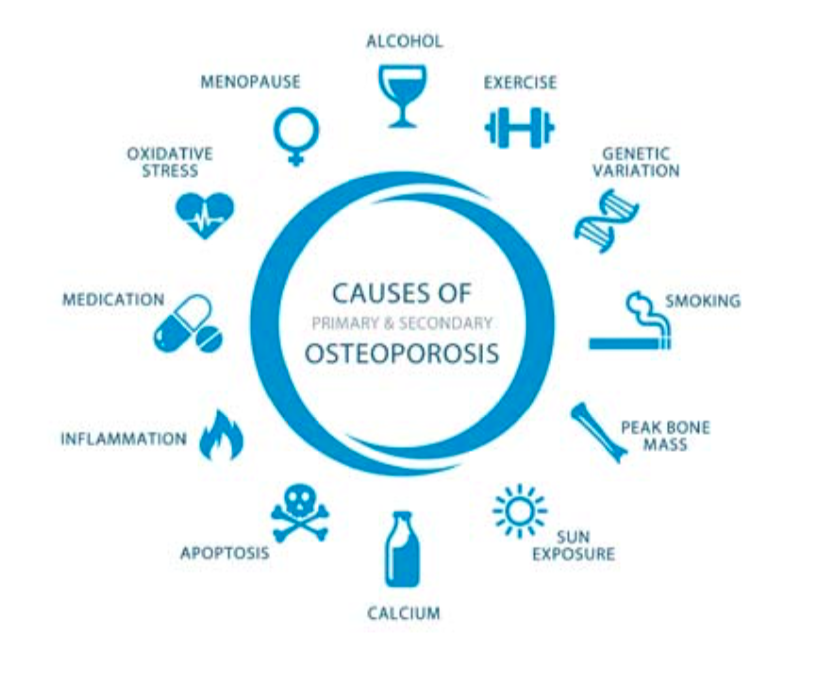 Building Strong Foundations: The Vital Importance of Bone Health Building Strong Foundations: The Vital Importance of Bone Health