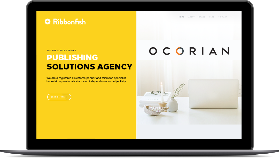 Streamlining Data Integration: How Ribbonfish helped accelerate the ... Streamlining Data Integration: How Ribbonfish helped accelerate the ...