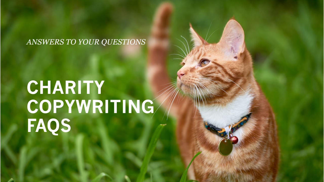 Charity copywriting – Your Questions Answered Charity copywriting – Your Questions Answered