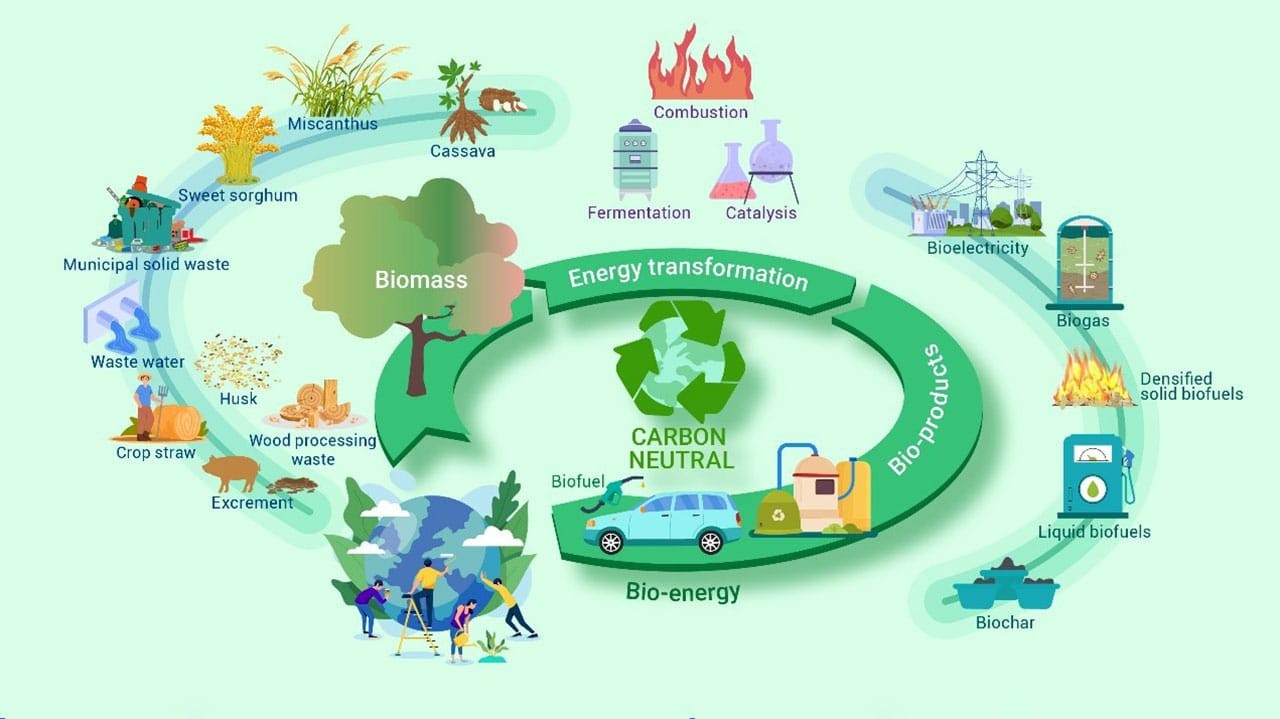 Harnessing the Power of Hemp for a Sustainable Biomass Energy Future Harnessing the Power of Hemp for a Sustainable Biomass Energy Future