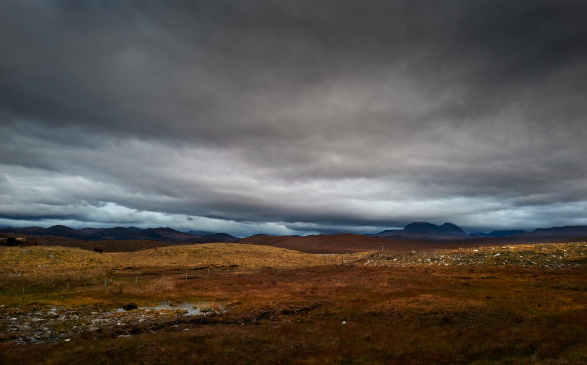 The Causes and Consequences of Gloom and Doom The Causes and Consequences of Gloom and Doom