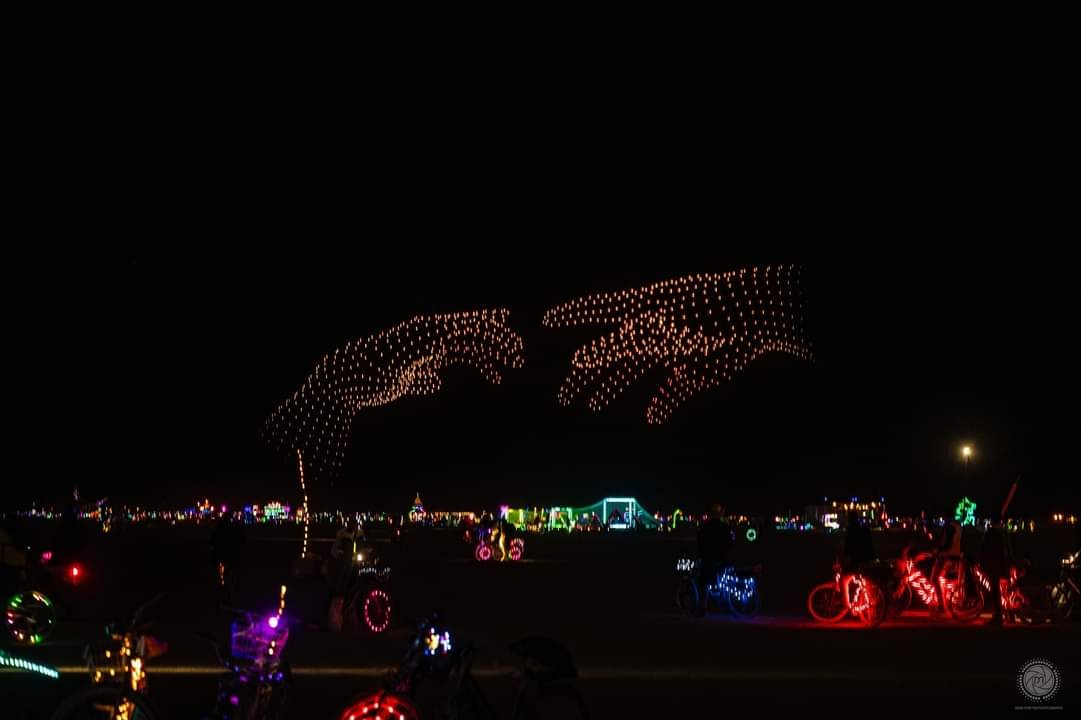 Embracing Volatility: Insights from Burning Man for Wall Street Embracing Volatility: Insights from Burning Man for Wall Street