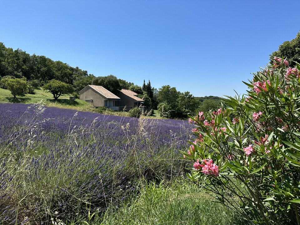 Harnessing the Therapeutic Power of Smartphone Photography for Mental ... Harnessing the Therapeutic Power of Smartphone Photography for Mental ...