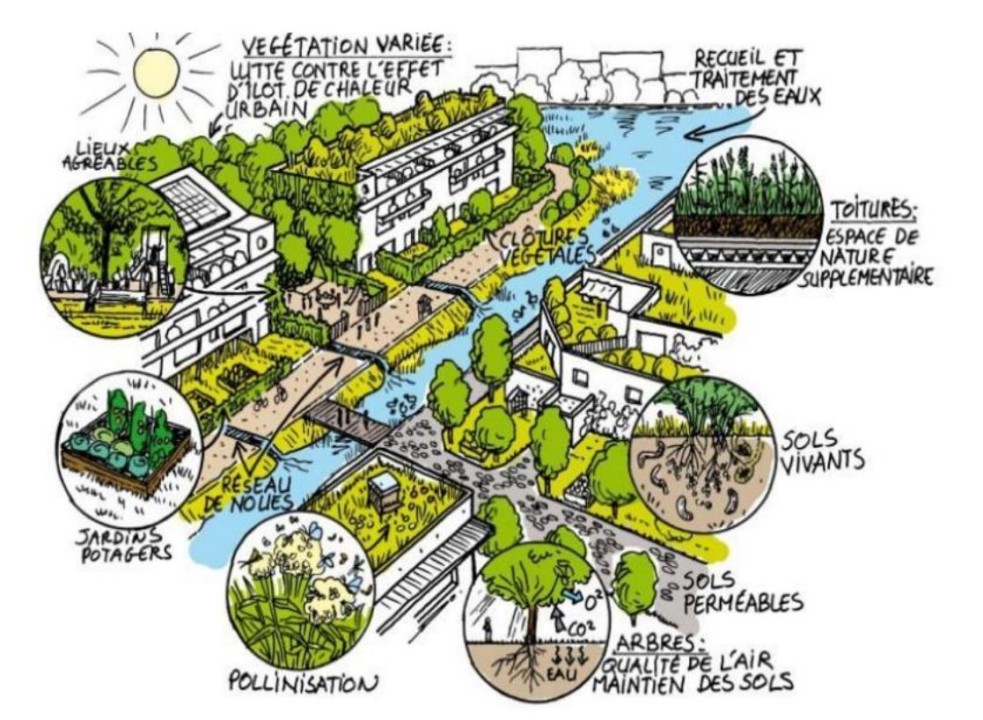 Bâtiment et biodiversité : comment habiter la nature Bâtiment et biodiversité : comment habiter la nature