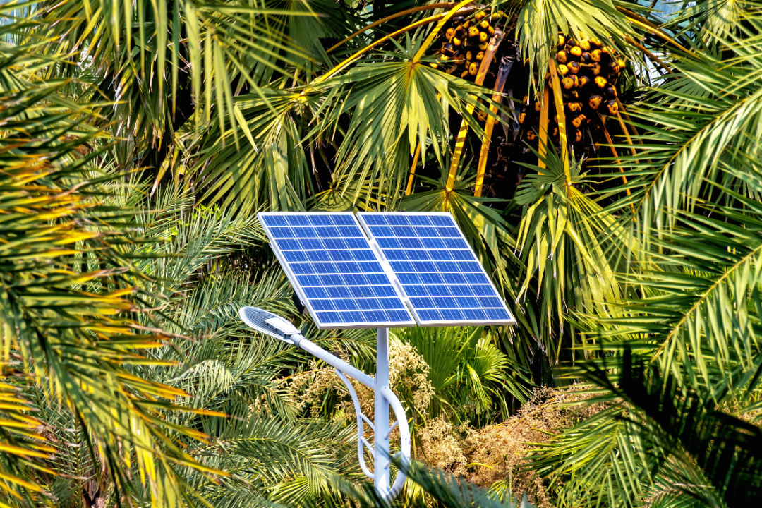 Empowering Our Economies: Harnessing the Power of Productive Use of Energy Empowering Our Economies: Harnessing the Power of Productive Use of Energy