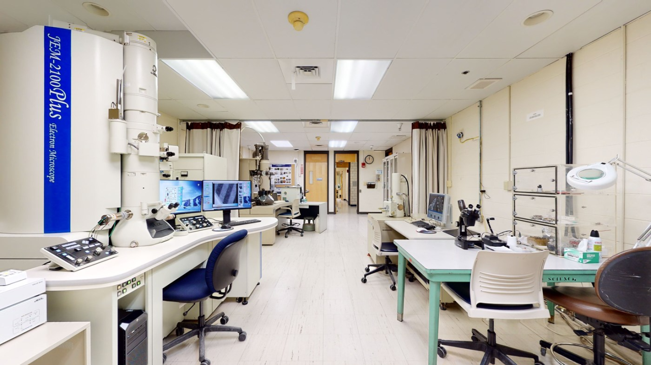 Empowering young Researchers and Fostering Innovation: The CRF ... Empowering young Researchers and Fostering Innovation: The CRF ...