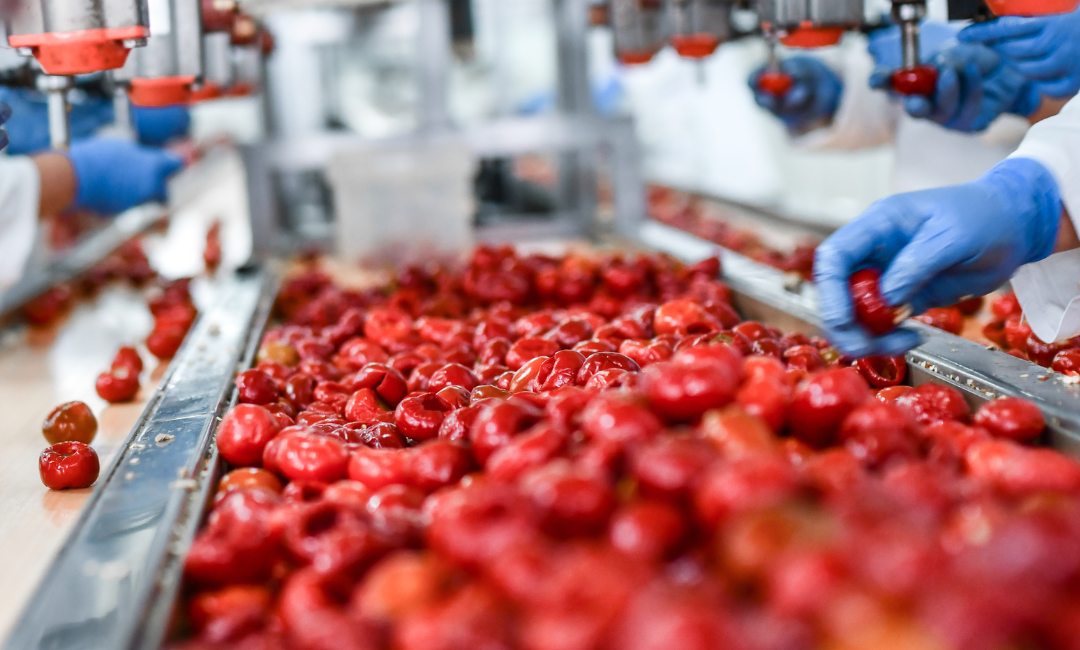 Efficiency Unleashed: Elevating Productivity through Automation in Food ... Efficiency Unleashed: Elevating Productivity through Automation in Food ...