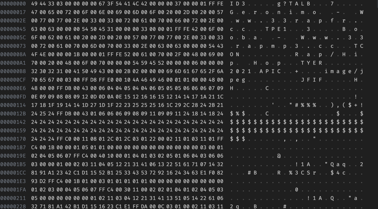 Building a Simple Binary Parser in JavaScript Building a Simple Binary Parser in JavaScript