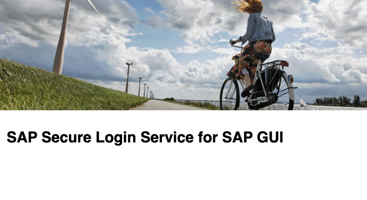 Exploring the SAP Secure Login Service for SAP GUI: An In-Depth Review Exploring the SAP Secure Login Service for SAP GUI: An In-Depth Review