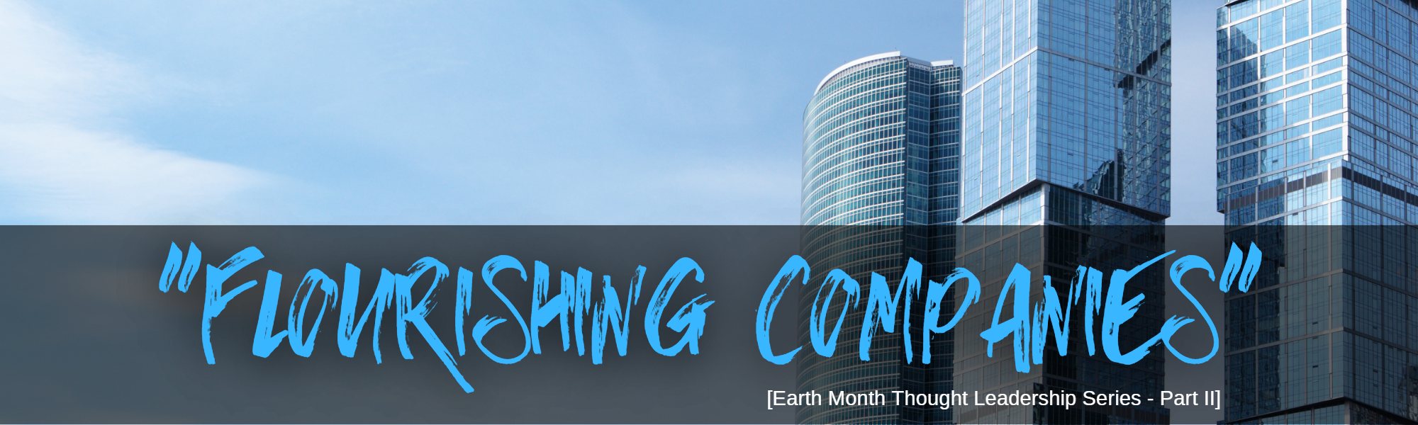 Building Flourishing Companies Building Flourishing Companies