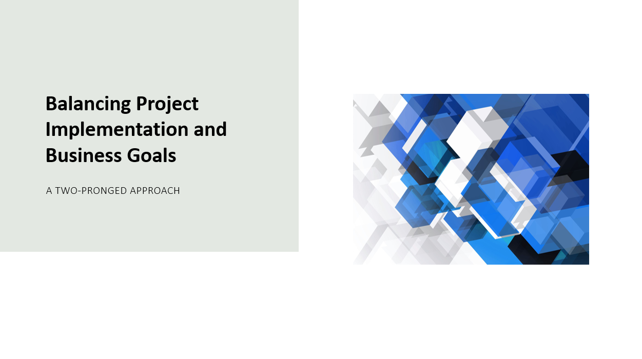 Balancing Project Implementation and Business Goals: A Two-pronged Approach Balancing Project Implementation and Business Goals: A Two-pronged Approach