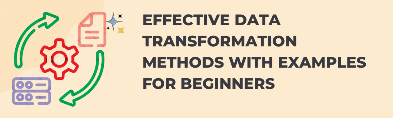 Effective Data Transformation Methods with Examples for BEGINNERS! Effective Data Transformation Methods with Examples for BEGINNERS!