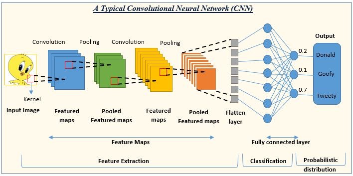 AI Atlas #16: Convolutional Neural Networks (CNNs) AI Atlas #16: Convolutional Neural Networks (CNNs)