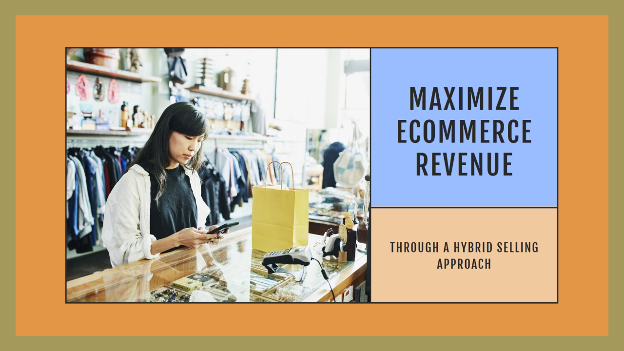 Maximizing Ecommerce Revenue Through a Hybrid Selling Approach Maximizing Ecommerce Revenue Through a Hybrid Selling Approach
