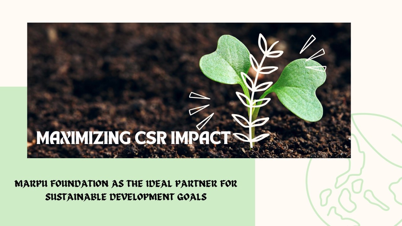 Maximizing CSR Impact Maximizing CSR Impact