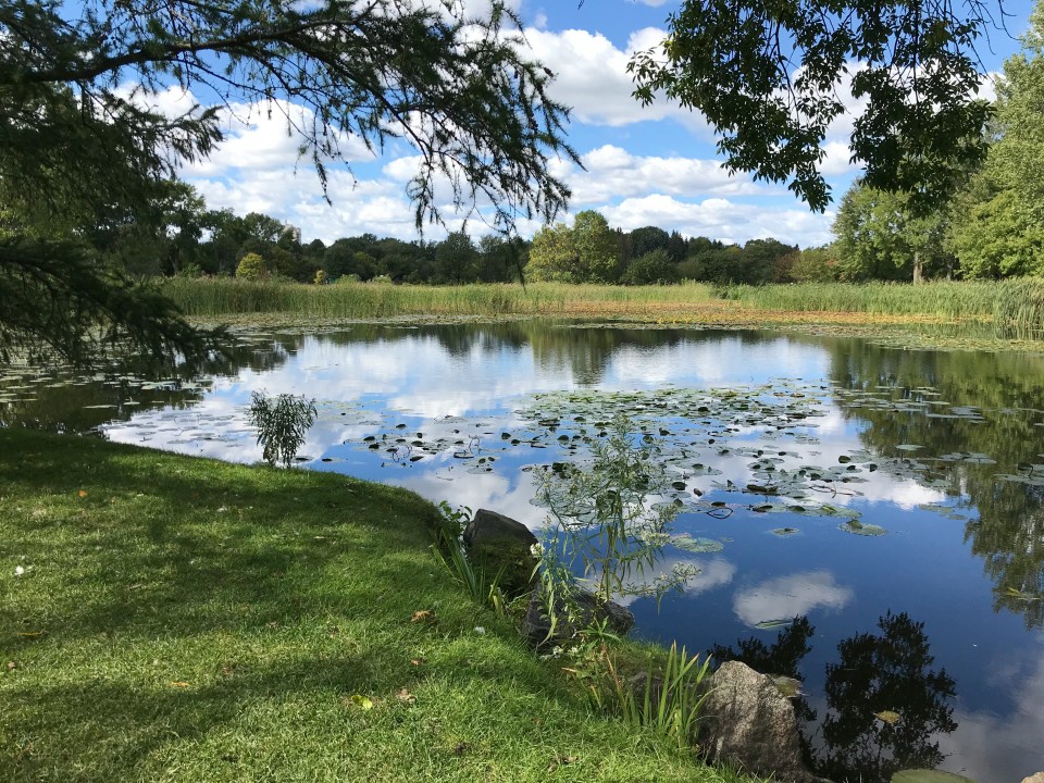 The Importance of Maintaining Lakes and Ponds for the Ecosystem The Importance of Maintaining Lakes and Ponds for the Ecosystem