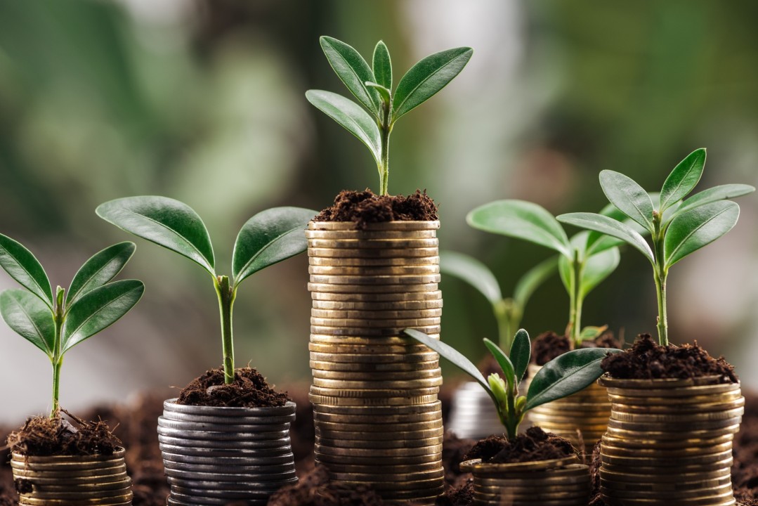 How Litigation Finance Grew to a Multi-Billion Industry How Litigation Finance Grew to a Multi-Billion Industry