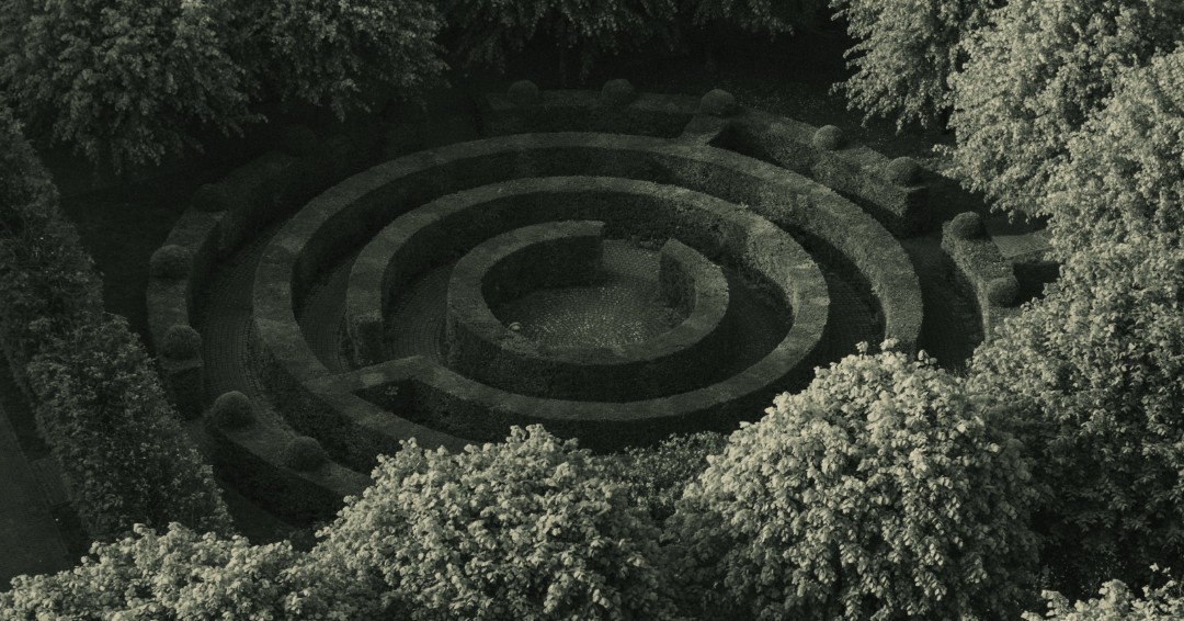 Navigating the Skills Maze: A Framework for Data Professionals to Thrive Navigating the Skills Maze: A Framework for Data Professionals to Thrive