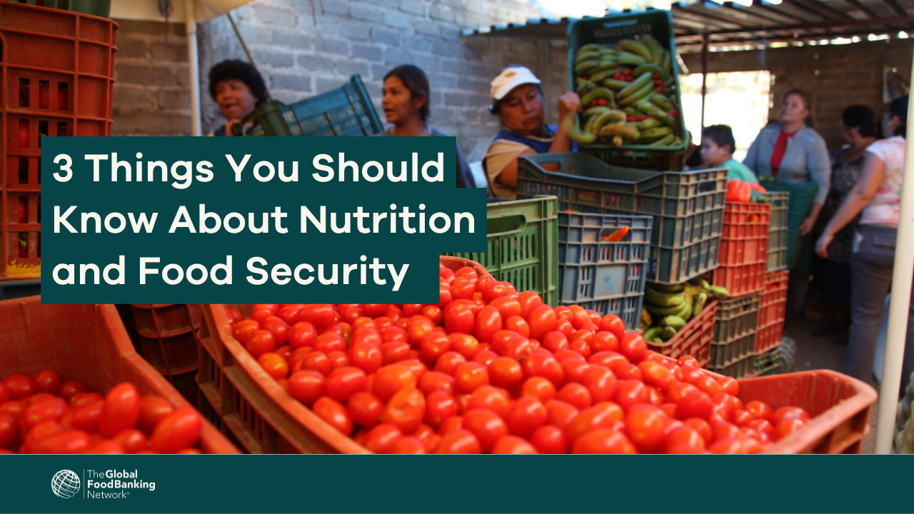 3 Things You Should Know About Nutrition and Food Security 3 Things You Should Know About Nutrition and Food Security