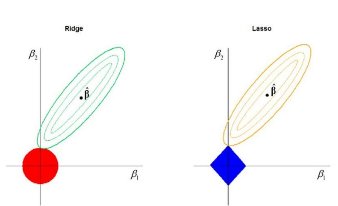 Understanding Regularization Understanding Regularization