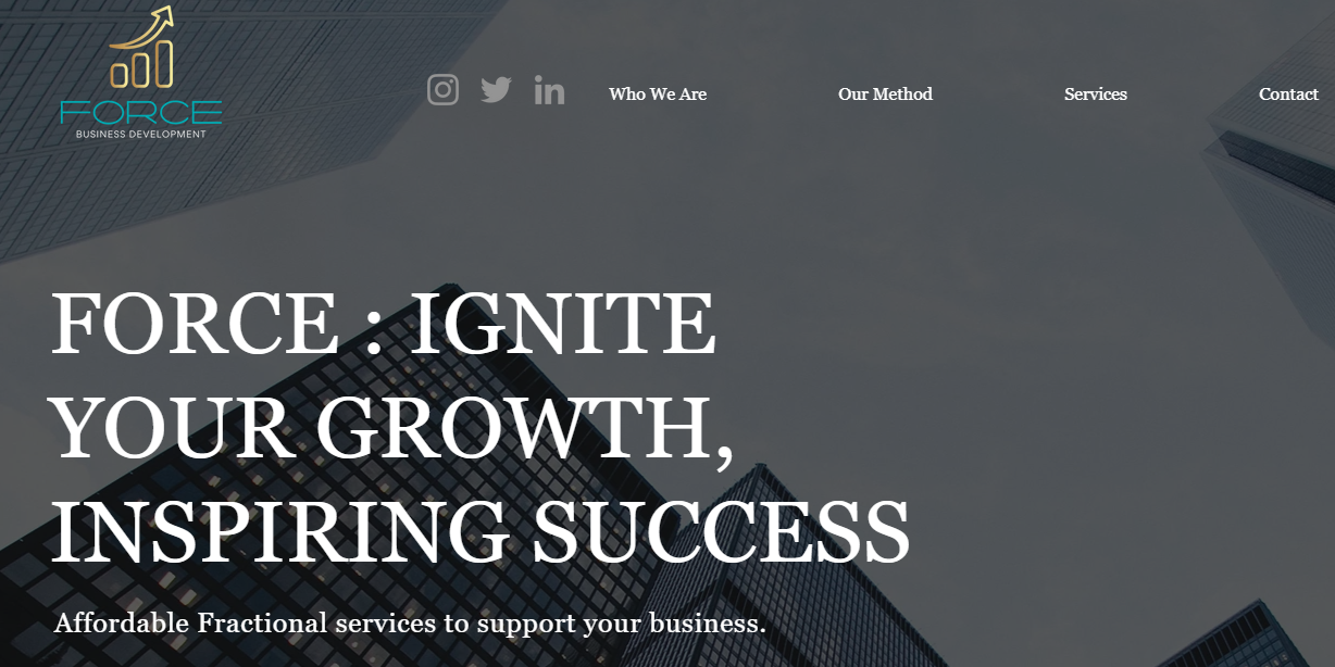 Accelerating Business Growth: The Power of Fractional Services. Accelerating Business Growth: The Power of Fractional Services.