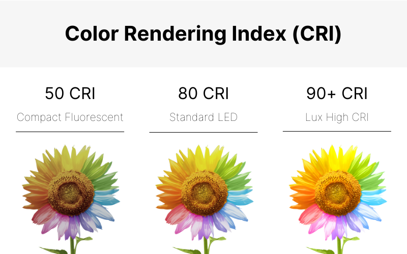 Everything About Color Rendering Index (CRI): Why Does It Matter? Everything About Color Rendering Index (CRI): Why Does It Matter?