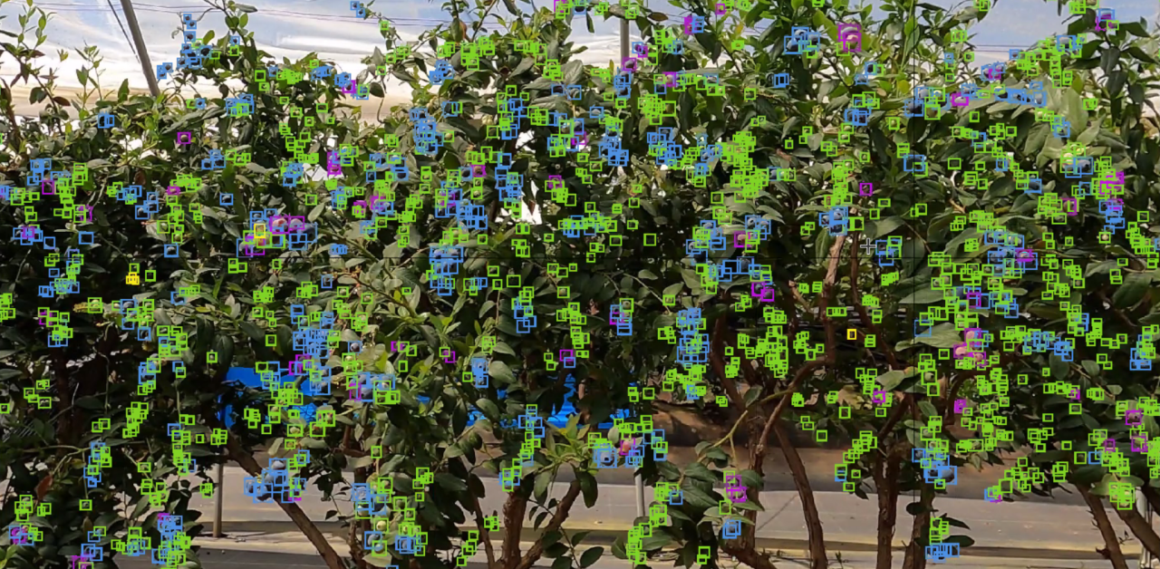 Revolutionising agriculture: how technology and AI drive the future of ... Revolutionising agriculture: how technology and AI drive the future of ...