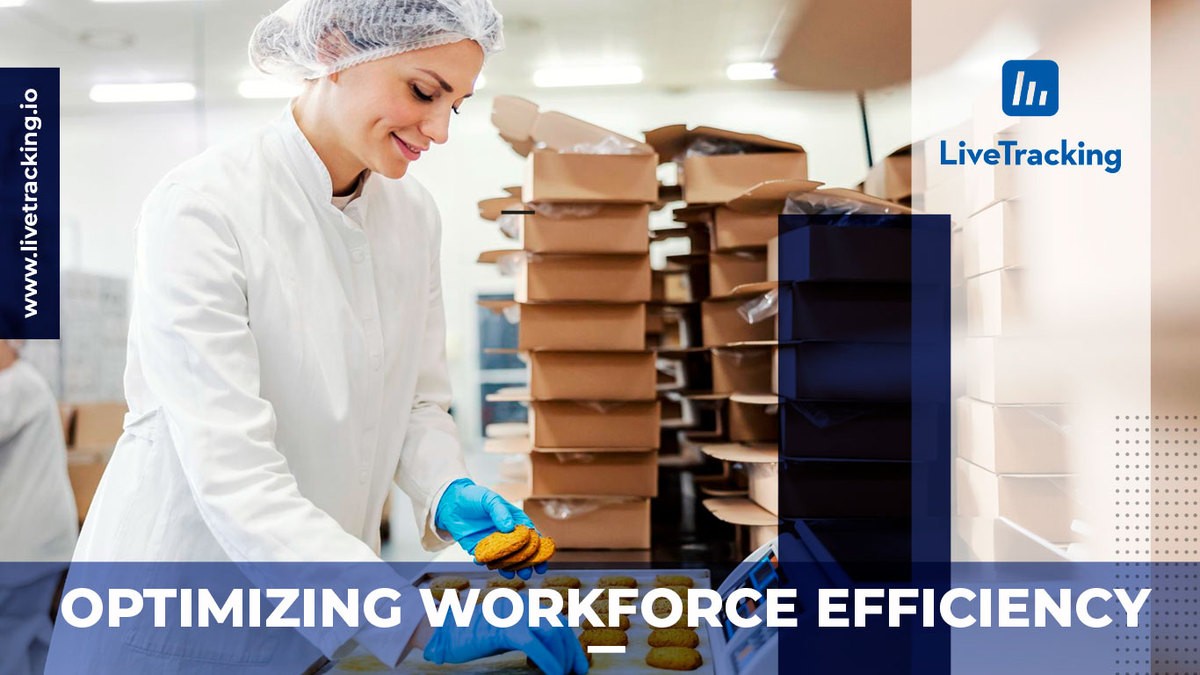 Project Management Software: Optimizing Workforce Efficiency Project Management Software: Optimizing Workforce Efficiency