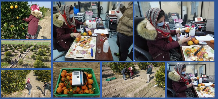 📢 🍎 Unleashing AI and NIR Spectroscopy for Enhanced Fruit Quality ... 📢 🍎 Unleashing AI and NIR Spectroscopy for Enhanced Fruit Quality ...