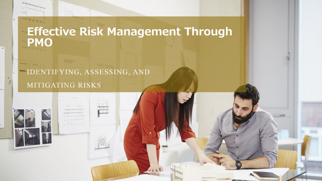 *Effective Risk Management through a Project Management Office (PMO ... *Effective Risk Management through a Project Management Office (PMO ...