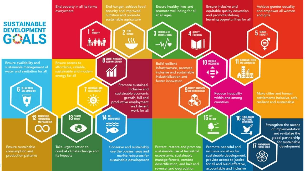 Unlock Success with UN Sustainable Development Goals Unlock Success with UN Sustainable Development Goals