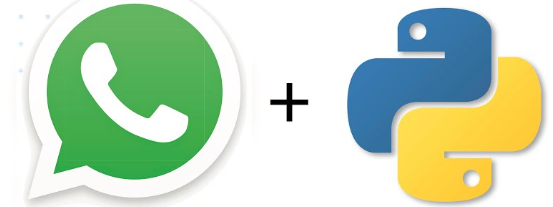 Effortless Email Automation with PyWhatKit: A Python Pro's Guide Effortless Email Automation with PyWhatKit: A Python Pro's Guide