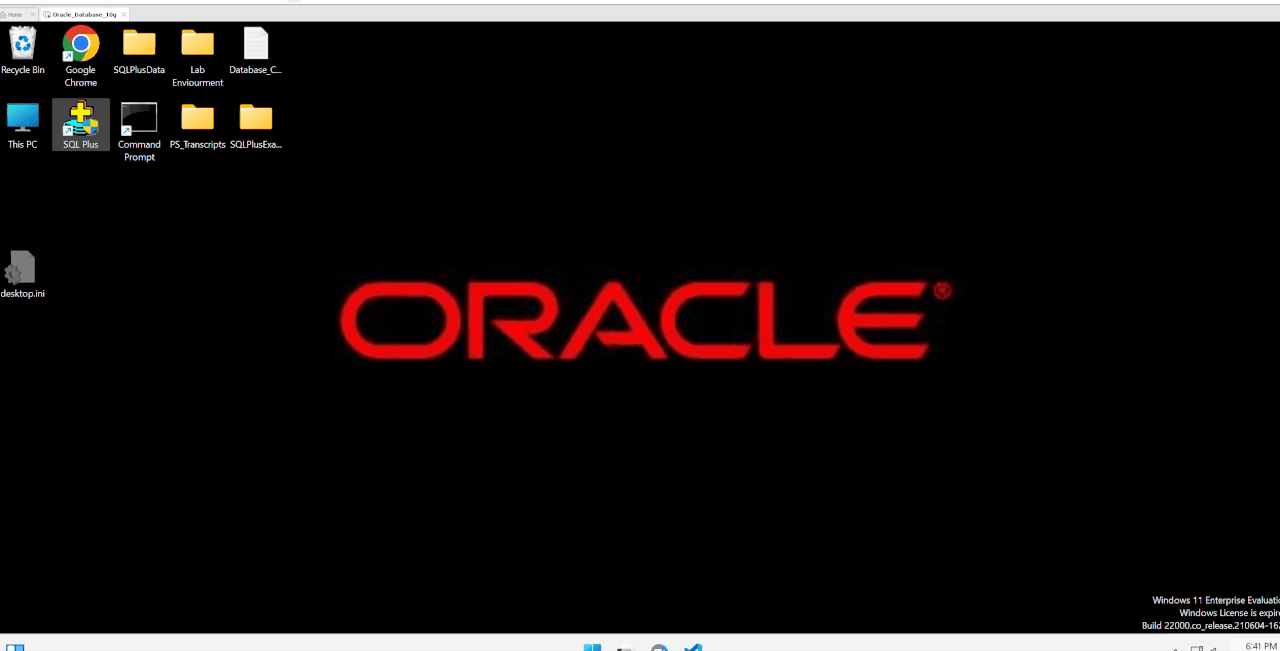 SQLPLUS: OVERVIEW OF BASIC SQL STATEMENTS IN ORACLE RDBMS SQLPLUS: OVERVIEW OF BASIC SQL STATEMENTS IN ORACLE RDBMS